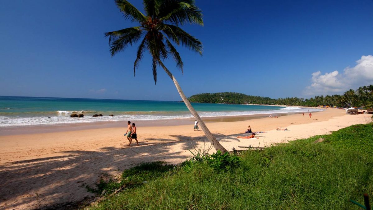 Roar Media Archive - The Other Side of Sri Lankan Tourism: No Locals ...